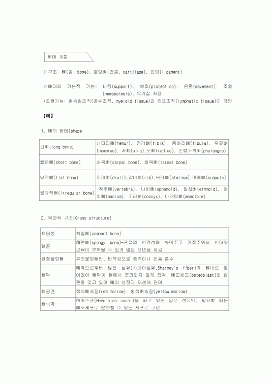 뼈대 계통 정리