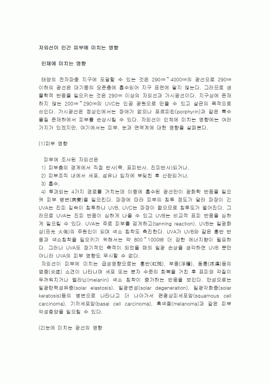 자외선이 피부에 미치는 영향