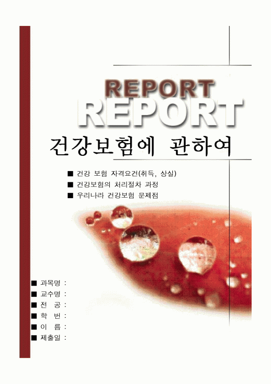 건강보험에 관하여