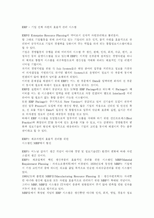 ERP 시스템의 정의 및 개념,성공사례