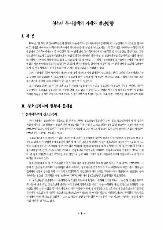 청소년 복지정책의 과제와 발전방향