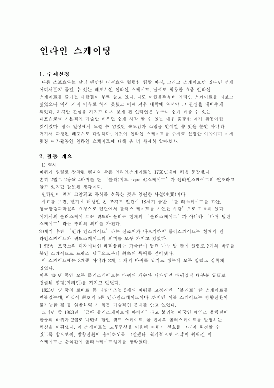 관광과여가-인라인스케이팅