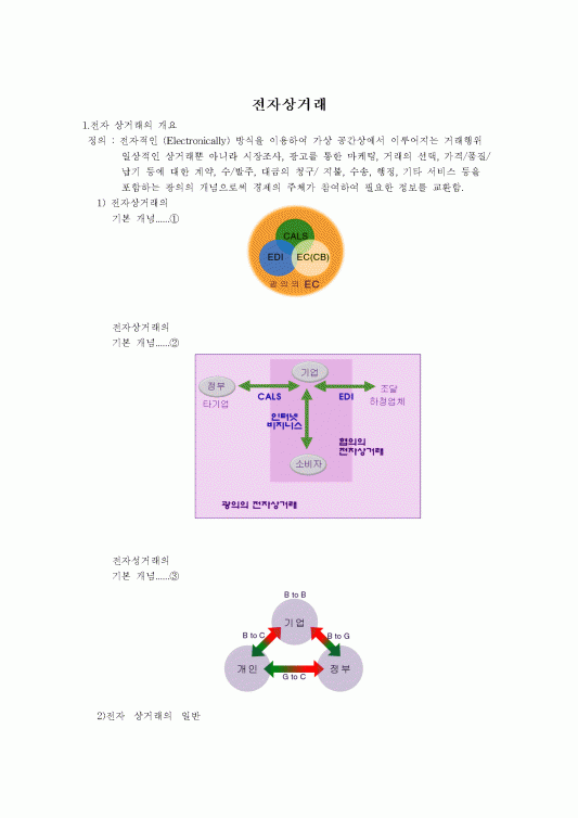 [자연과학] 전자상거래의 개요 일반적 효과 보고서