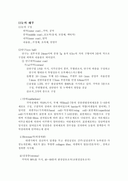 안과학 눈의 해부