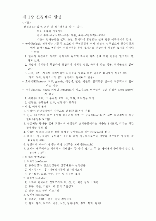 신경해부학 레포트 자료