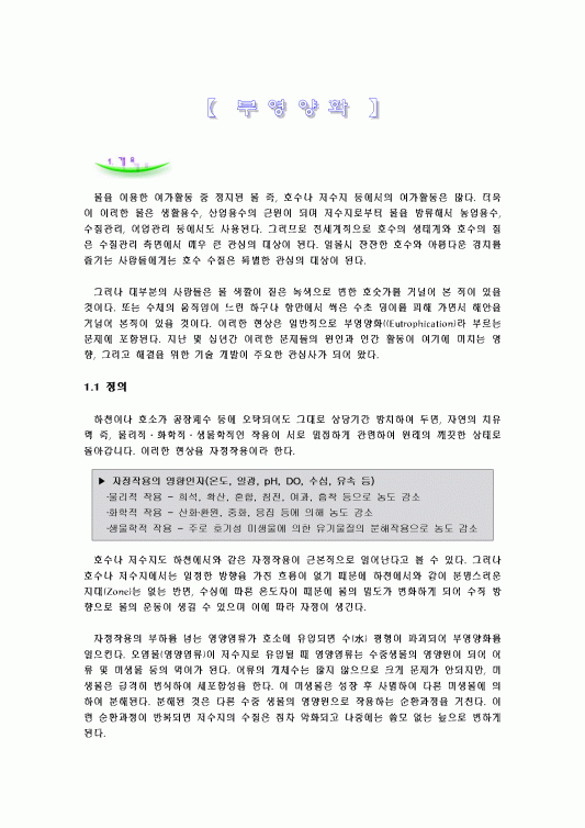 부영양화 레포트 자료