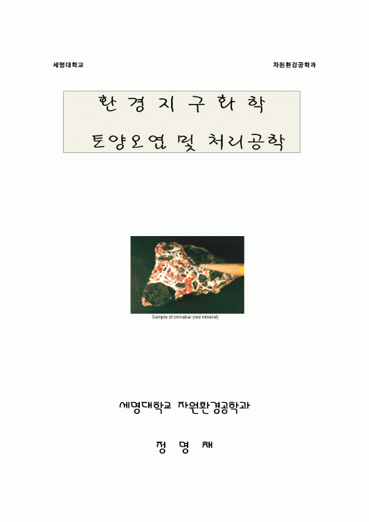 환경지구화학 연구(토양오염 처리공학,환경오염 환경영향평가 토지이용)