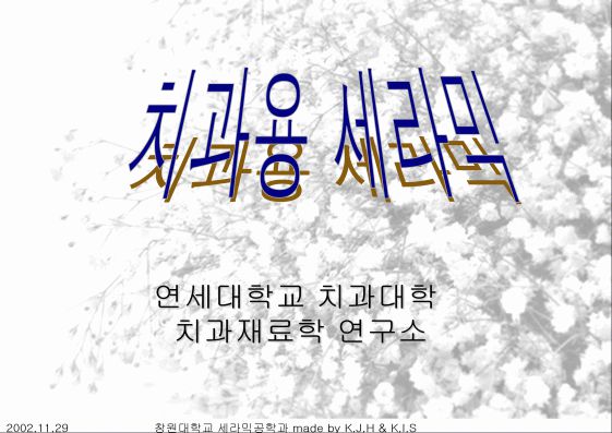치과용 세라믹