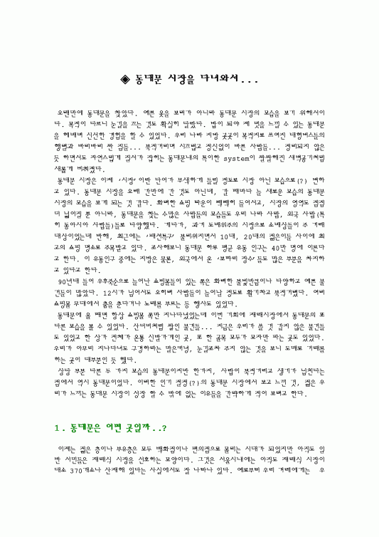 동대문보고서