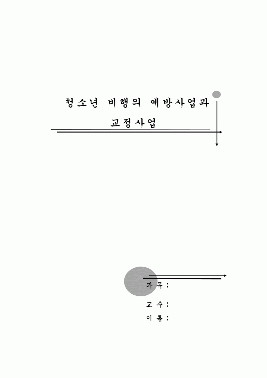 청소년 비행의 예방사업과 교정사업