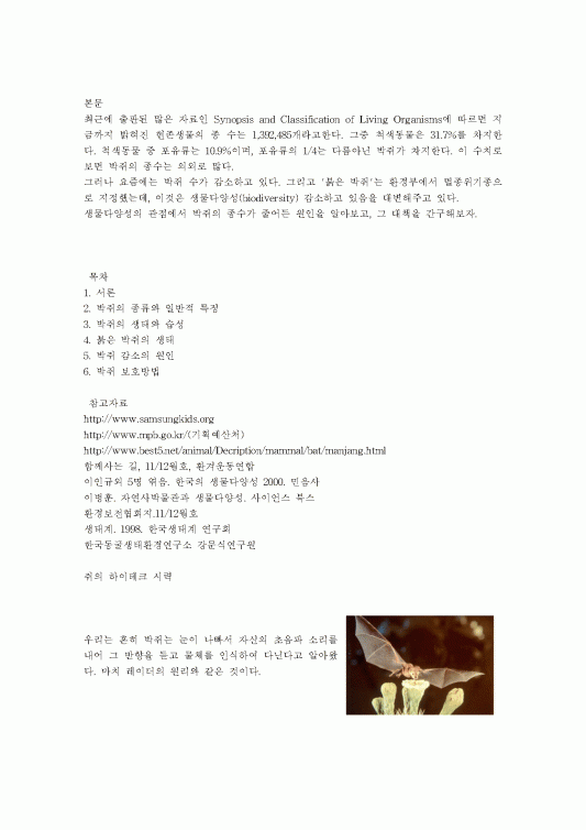 박쥐에 대하여 정리