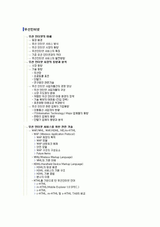 무선 인터넷 개론