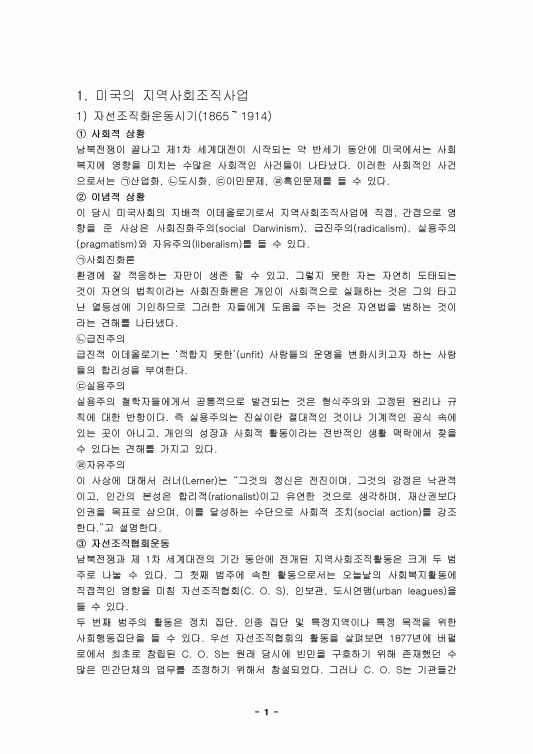 각 나라별 지역사회복지 정책
