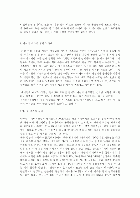 [사회현상]사이버 섹스