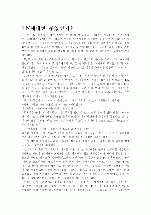 N세대 마케팅 레포트 자료