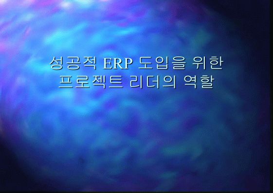 성공적 ERP 도입을 위한 프로젝트 리더의 역할