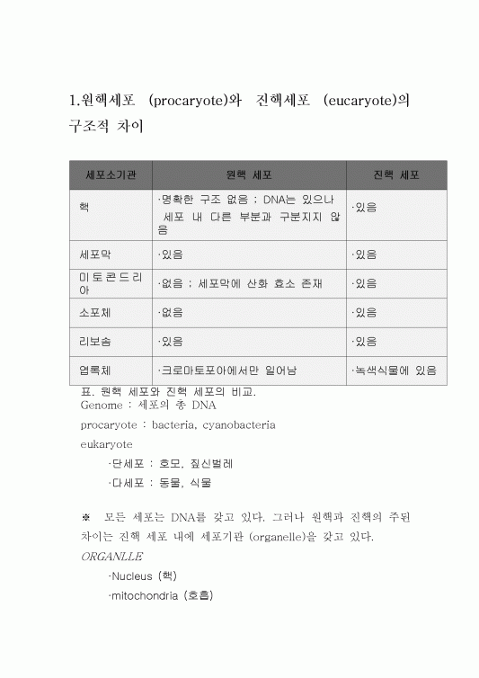[자연과학] 원핵세포와 진핵세포