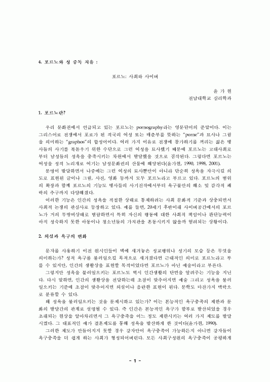 [성문제] 포르노: 사회와 사이버