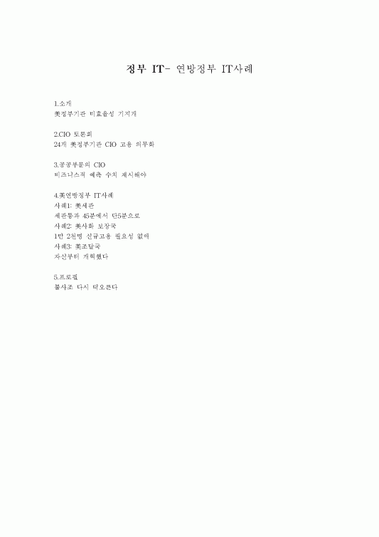 정부 IT- 연방정부 IT사례