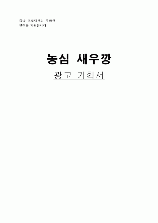 농심새우깡 광고기획서