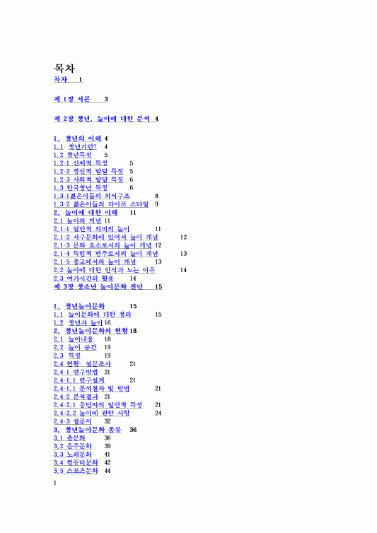 청년 문화에 대한 레폿...