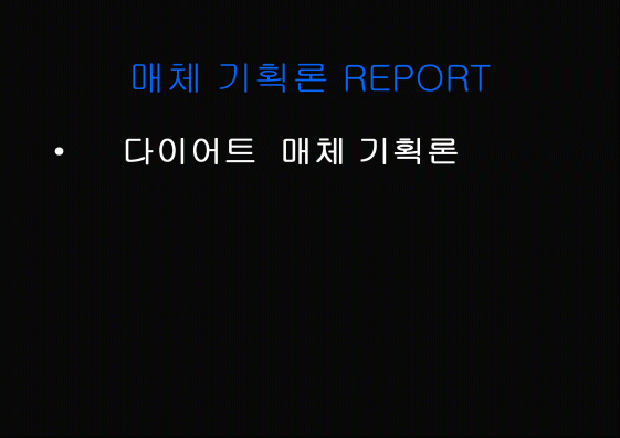 다이어트 식품 마케팅 전략    PPT