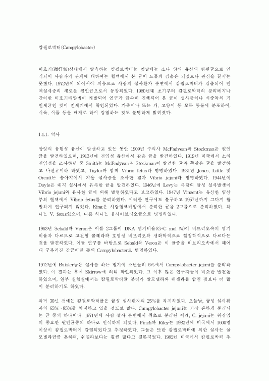 캄필로박터 레포트 자료
