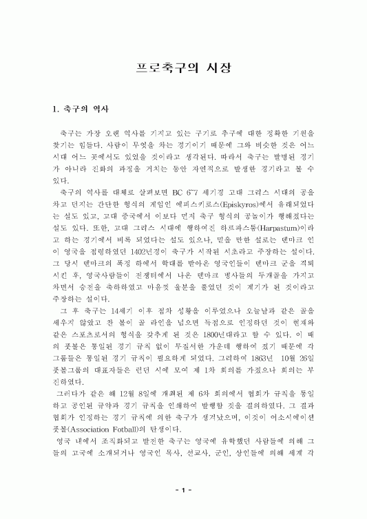 프로축구 레포트 자료