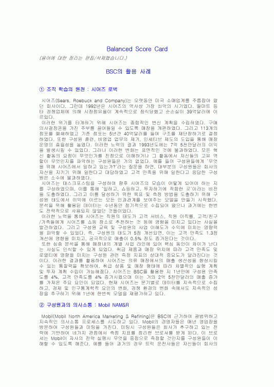 BSC의 활용 사례