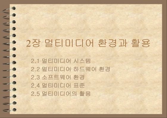 멀티미디어 환경과 활용