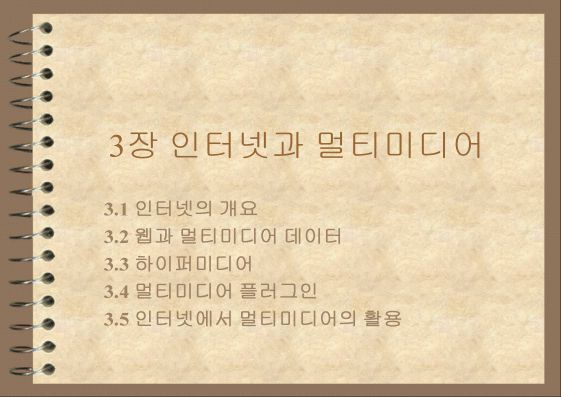 인터넷과 멀티미디어
