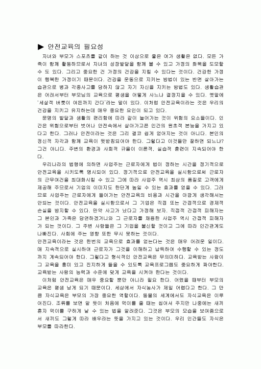 안전교육의 필요성 및 문제점