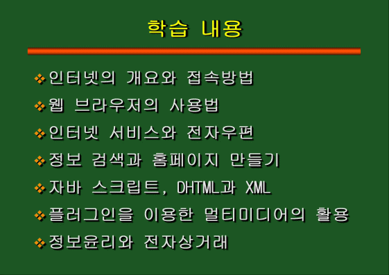 인터넷의 활용