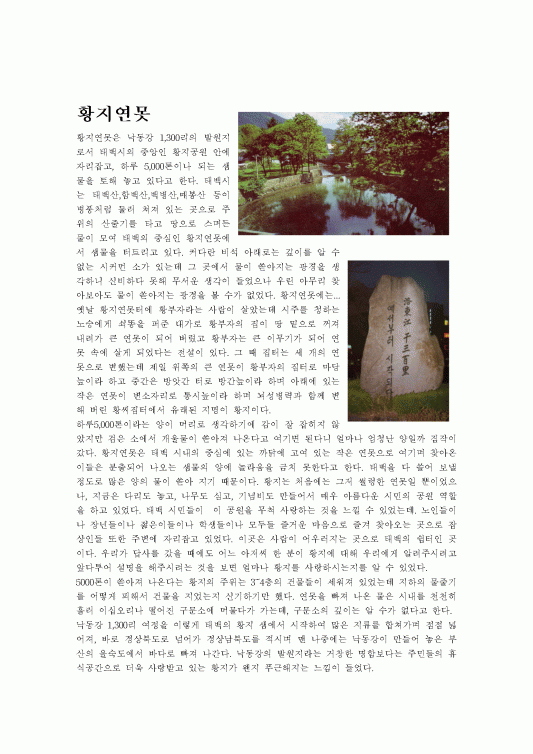 답사보고서 레포트 자료