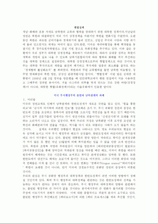 미국 부시행정부의 출범과 남북관계의 과제