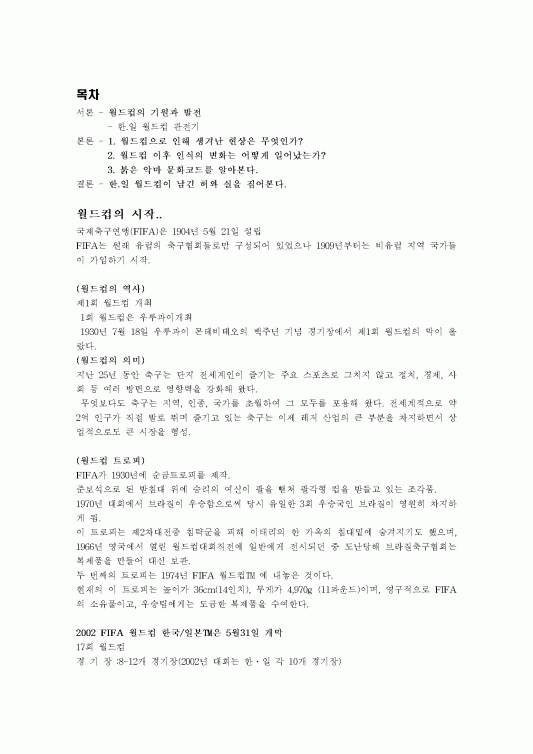 (월드컵) 월드컵 현상 그 이후의 인식변화와 과제