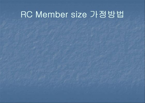 RC member size 가정방법