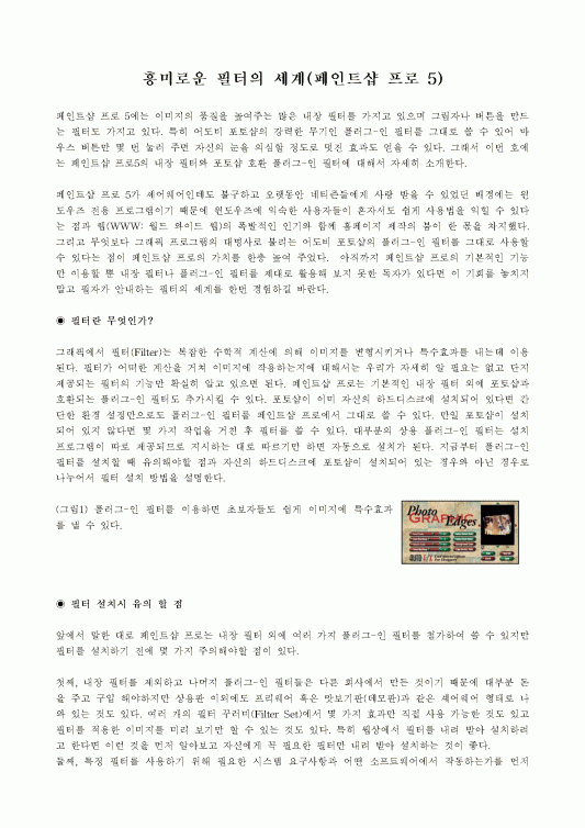 흥미로운 필터의 세계(페인트샵 프로 5)