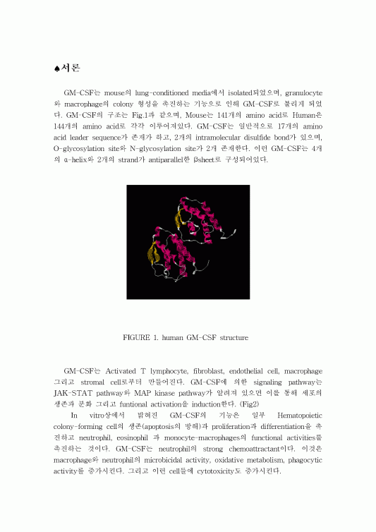 GM-CSF Signaling Pathways and Anti-apoptotic Activ