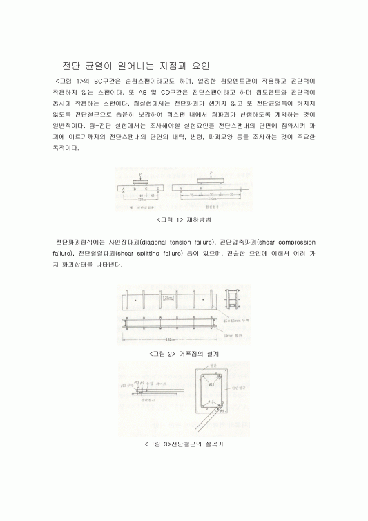 보의 전단 균열 형태