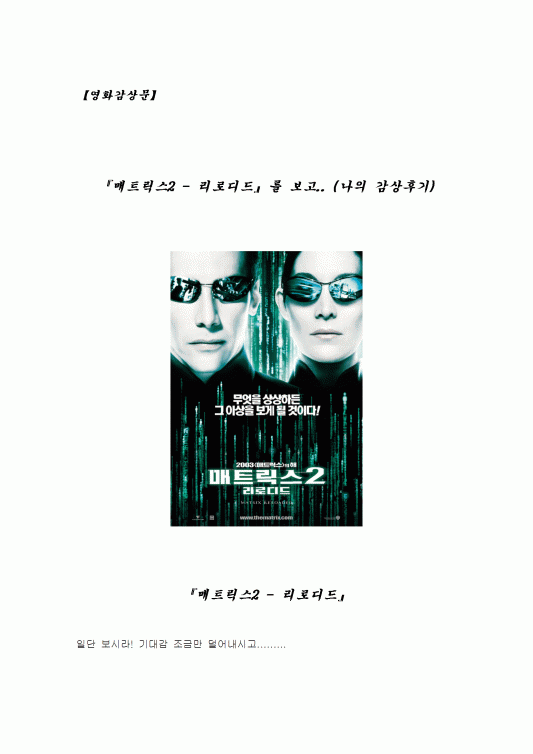 [영화감상문] 『매트릭스2 - 리로디드』를 보고.. (나의 감상후기)