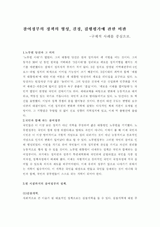 참여정부의 정책의 형성, 결정, 집행평가에 관한 비판