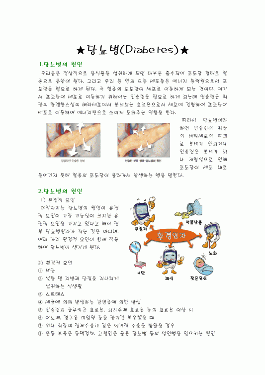 당뇨병의 문헌고찰