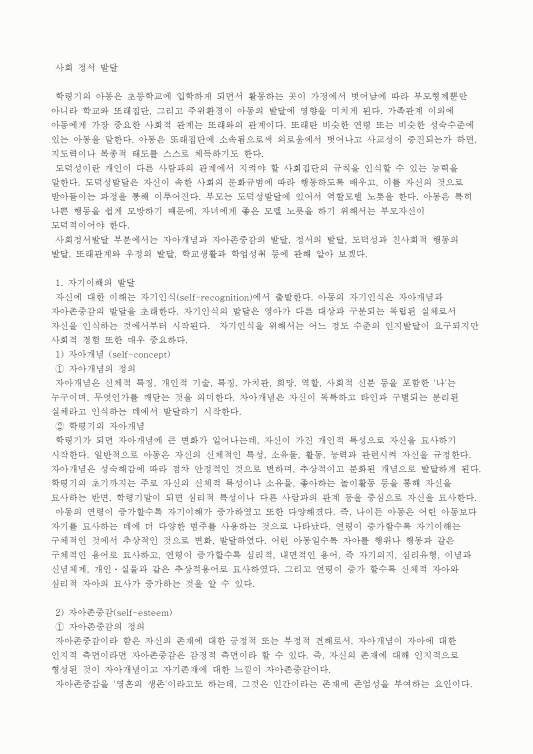 학령기의 사회정서 발달