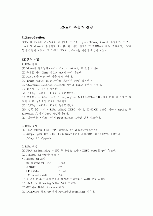 RNA의 추출과 정량
