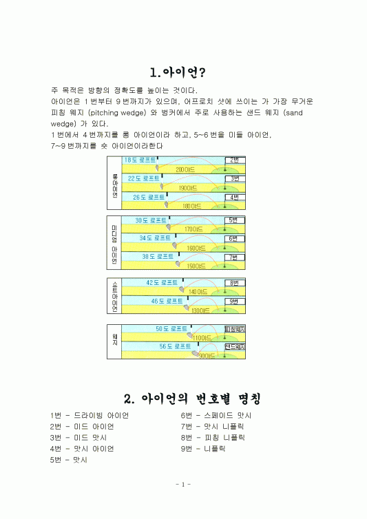 골프 아이언 레포트 자료