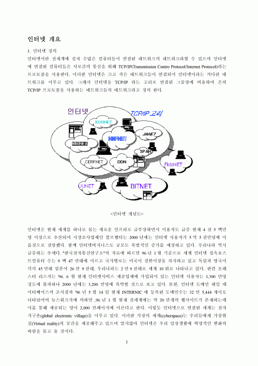 인터넷의개요