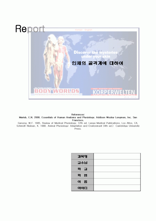인체의 골격계에 대하여