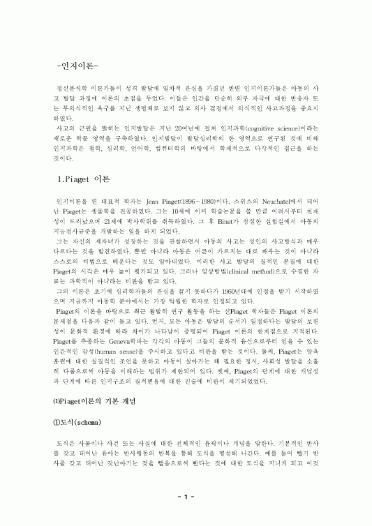 [사범대]-아동발달의 인지이론