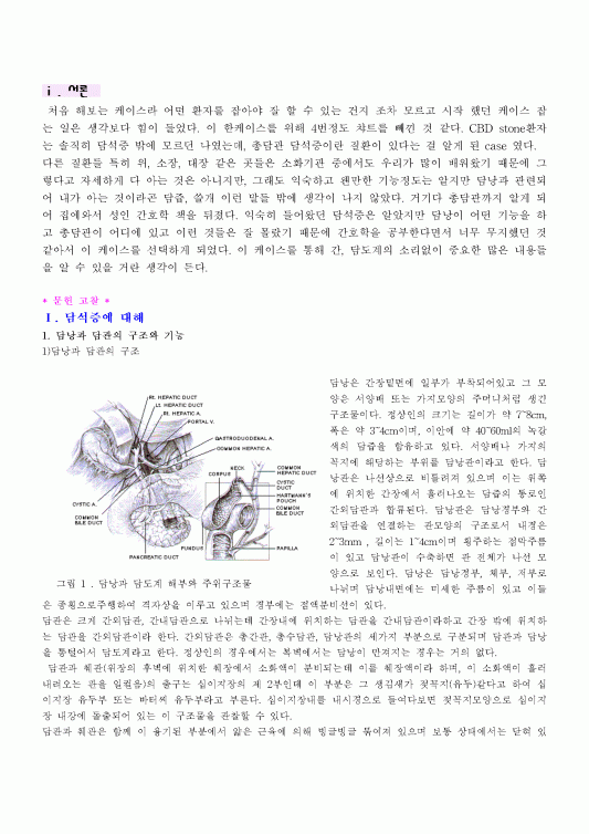 CBD stone (총담관 결석증)케이스스터디
